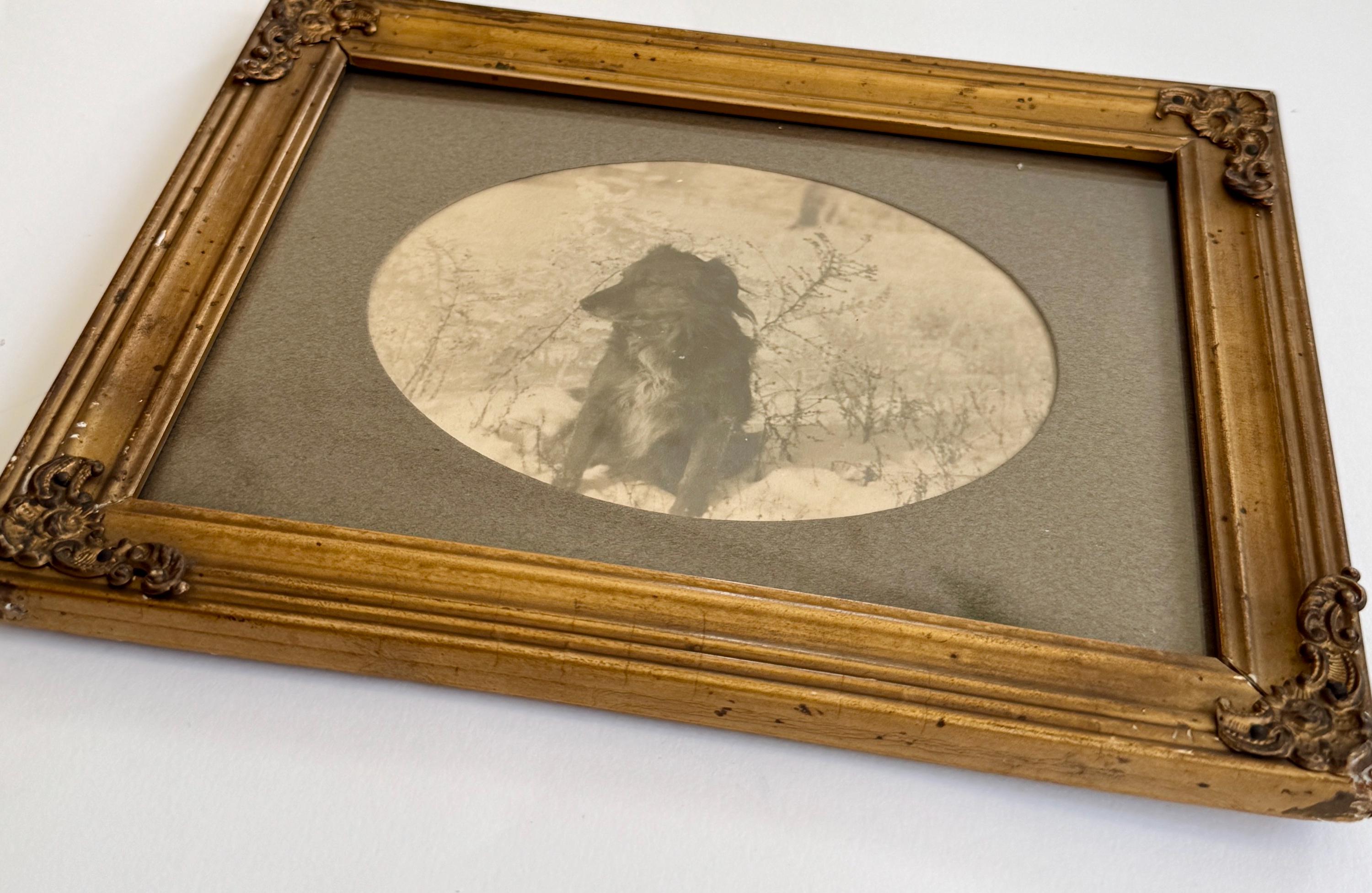 Old Faded Dog Photograph Vintage Western Country Landscape Photo Aged ...