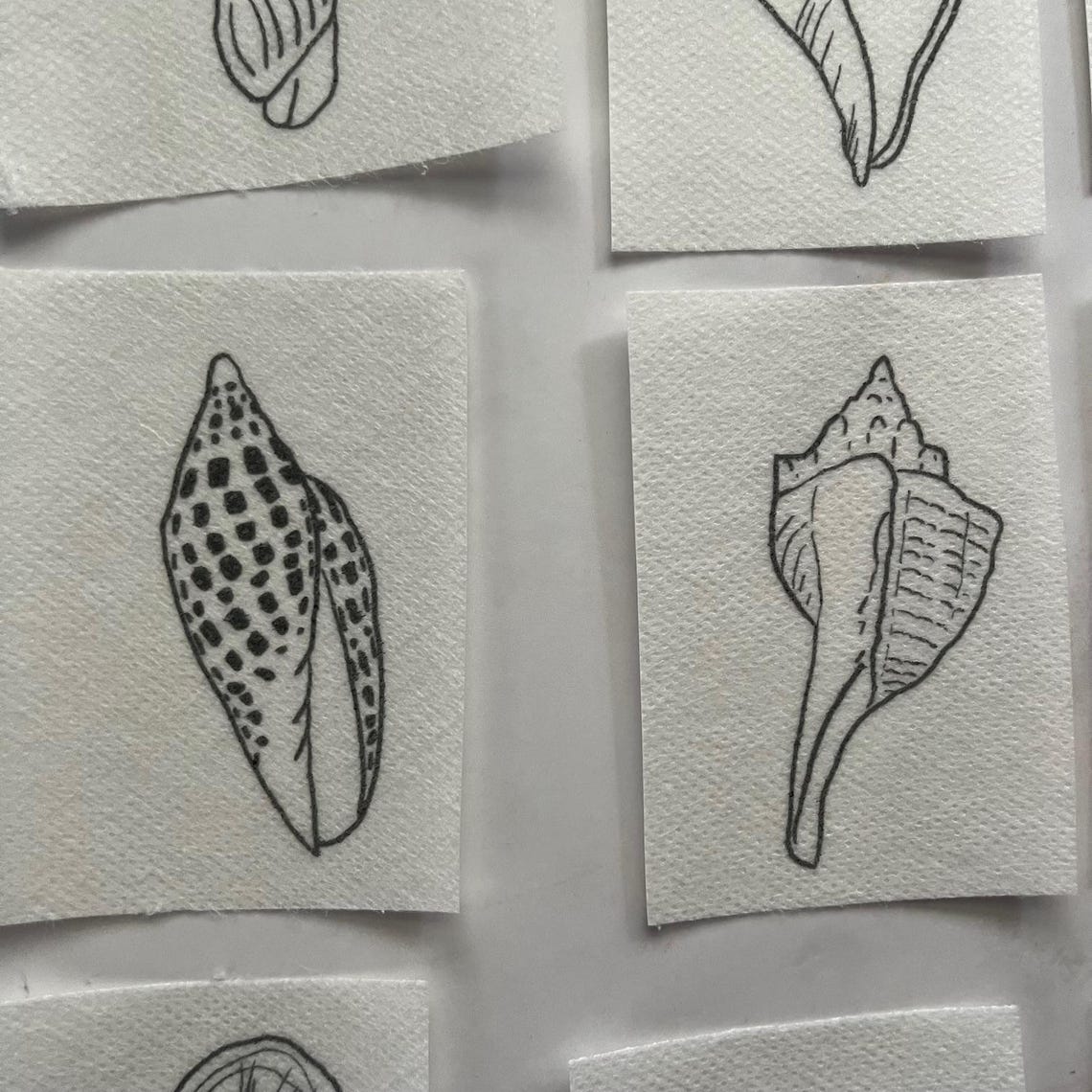 Birth Month Shells Stick and Stitch Hand Embroidery Patterns - Etsy