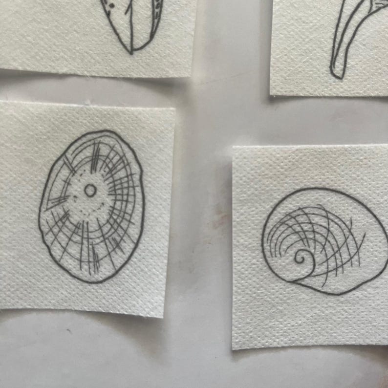 Birth Month Shells Stick and Stitch Hand Embroidery Patterns - Etsy