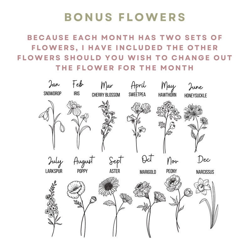 Birth Month Flowers Phenology Wheel Embroidery Template, Instant ...