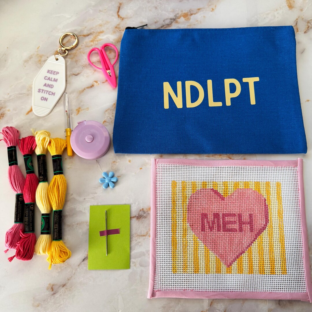 Heart Needlepoint Kit: Beginner Embroidery Project With Zippered NDLPT ...