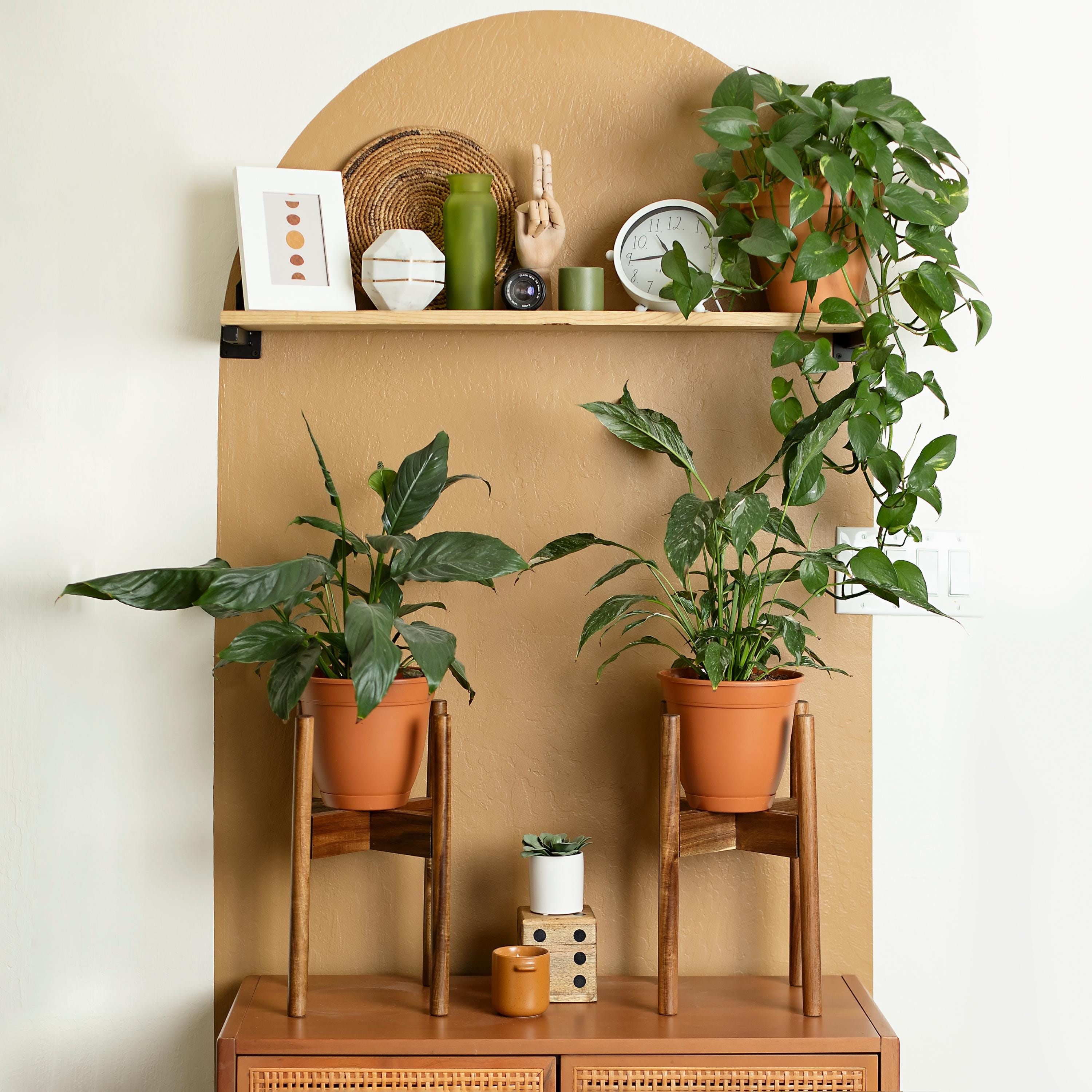 Adjustable Acacia Wood Plant Stand: Mid-century Modern, Fits 8-12" Pots ...