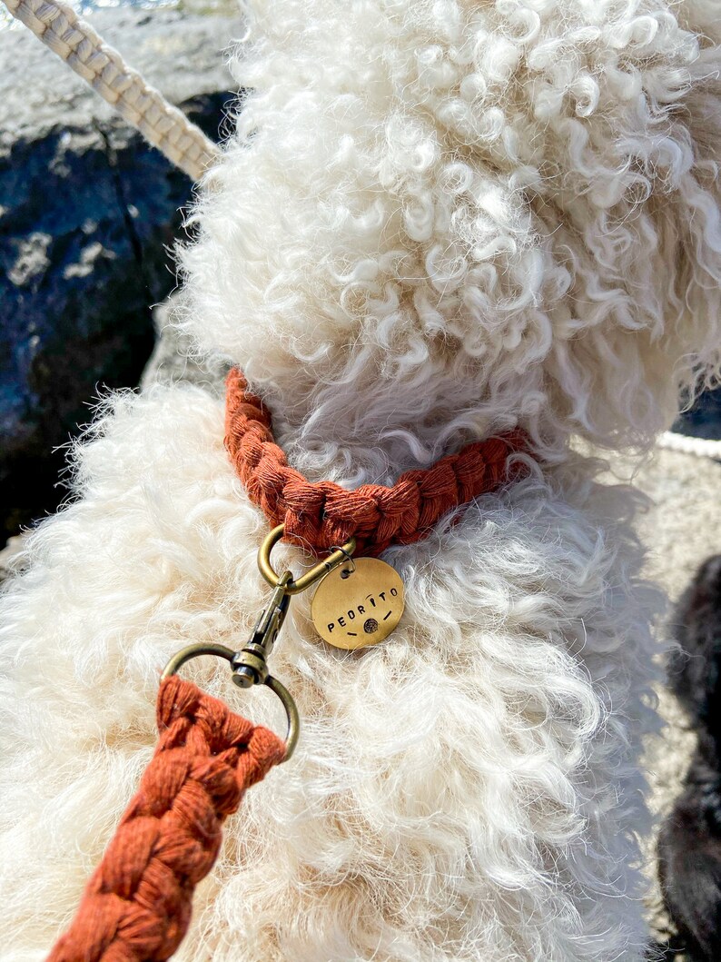 Brown Dog Collar and Tag Boho Dog Collar Custom Macrame Dog | Etsy