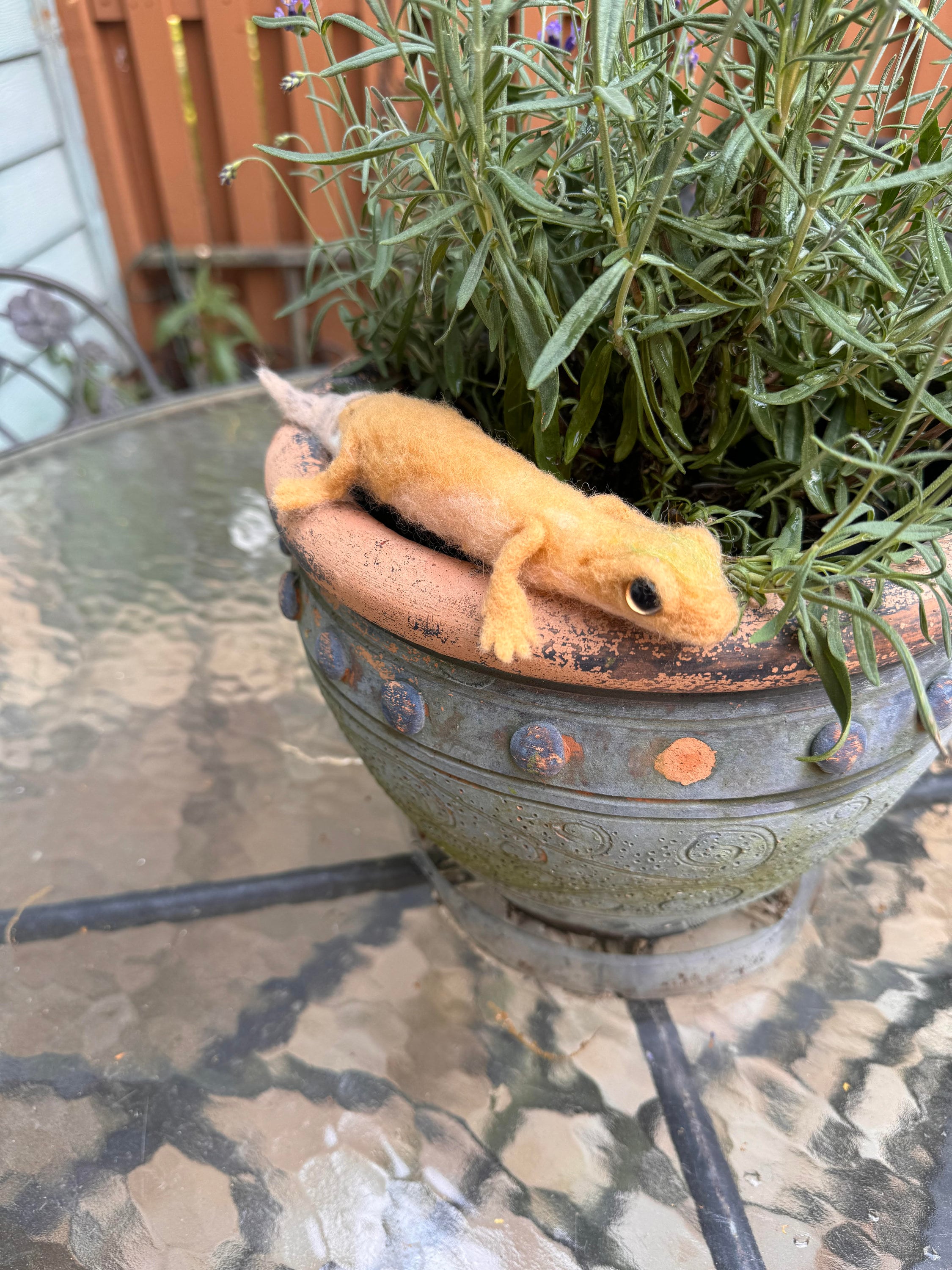 Needle Felted Wool Realistic Lizard, Reptile,newt,chameleon,squamata ...