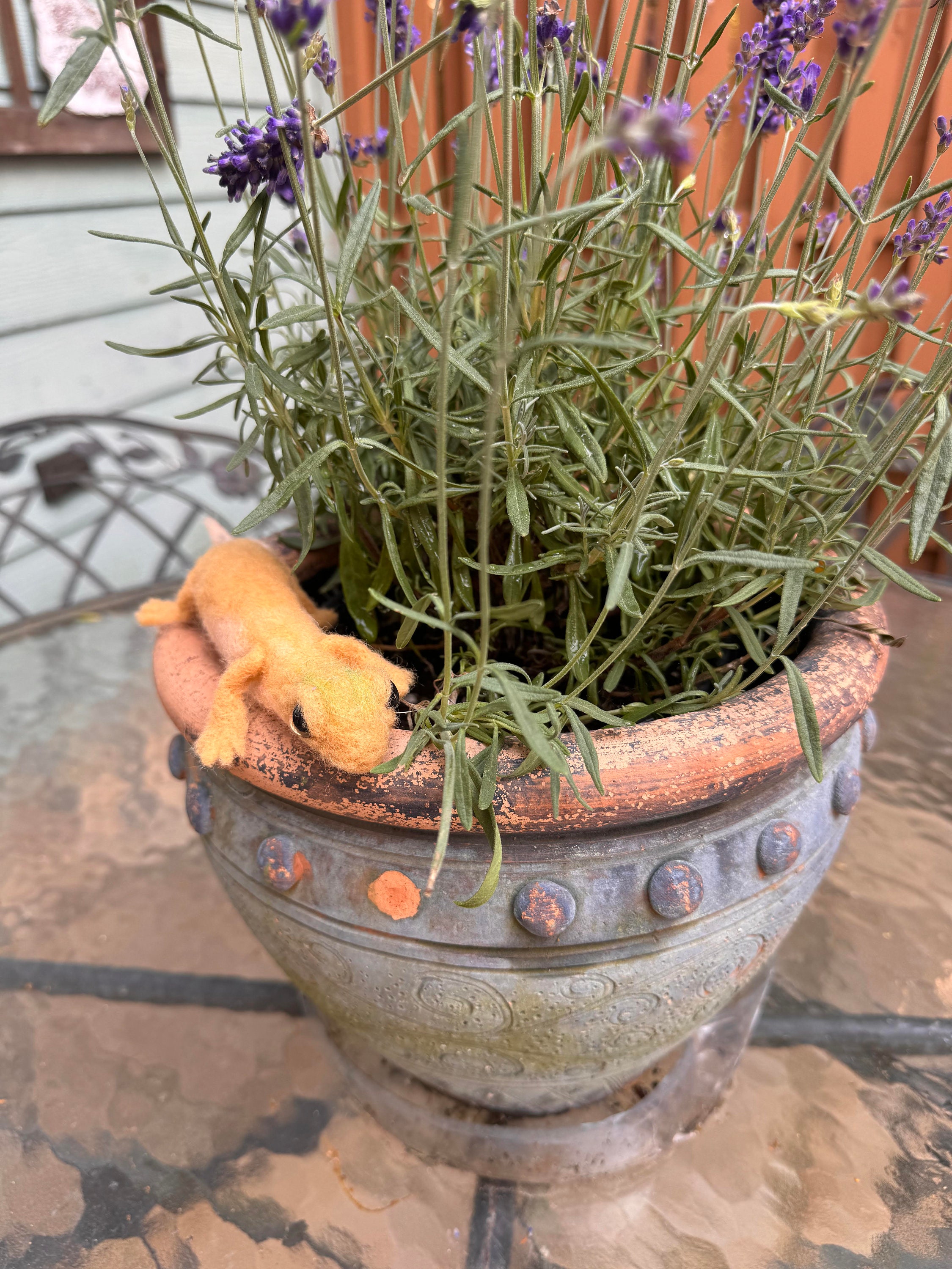 Needle Felted Wool Realistic Lizard, Reptile,newt,chameleon,squamata ...