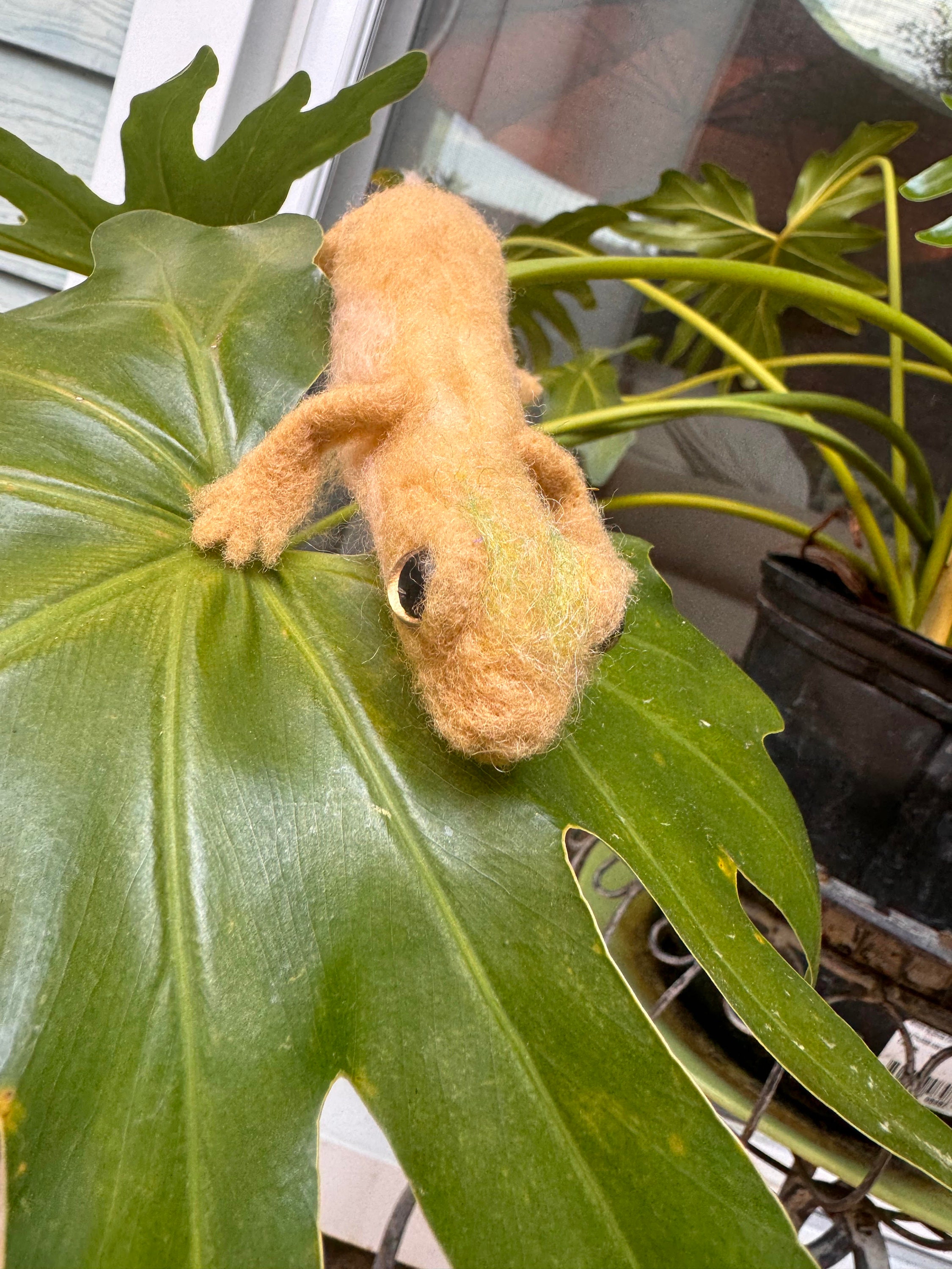 Needle Felted Wool Realistic Lizard, Reptile,newt,chameleon,squamata ...