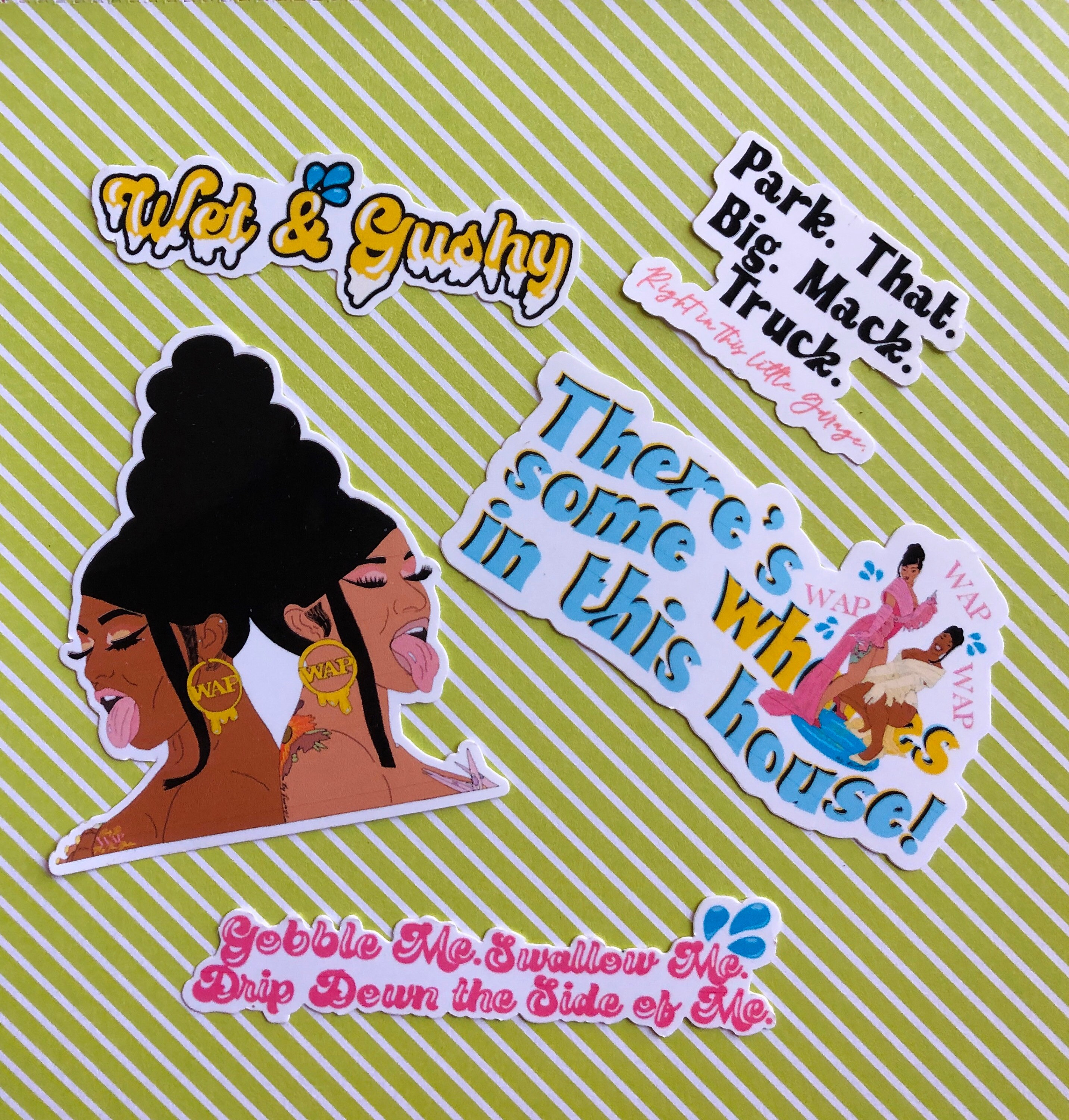 WAP Cardi B and Meg Thee Stallion Sticker Mini Pack - Etsy