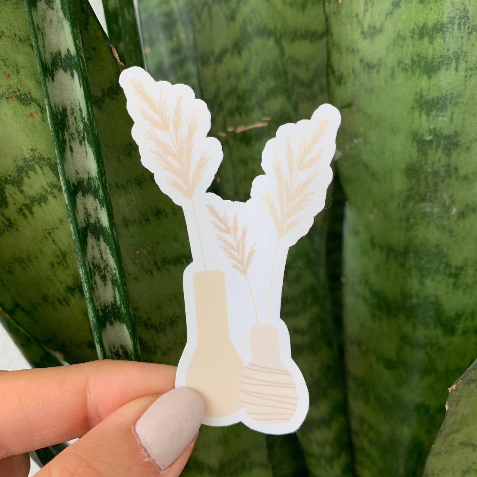 Pampas Grass Sticker Plant Weatherproof Matte Sticker - Etsy