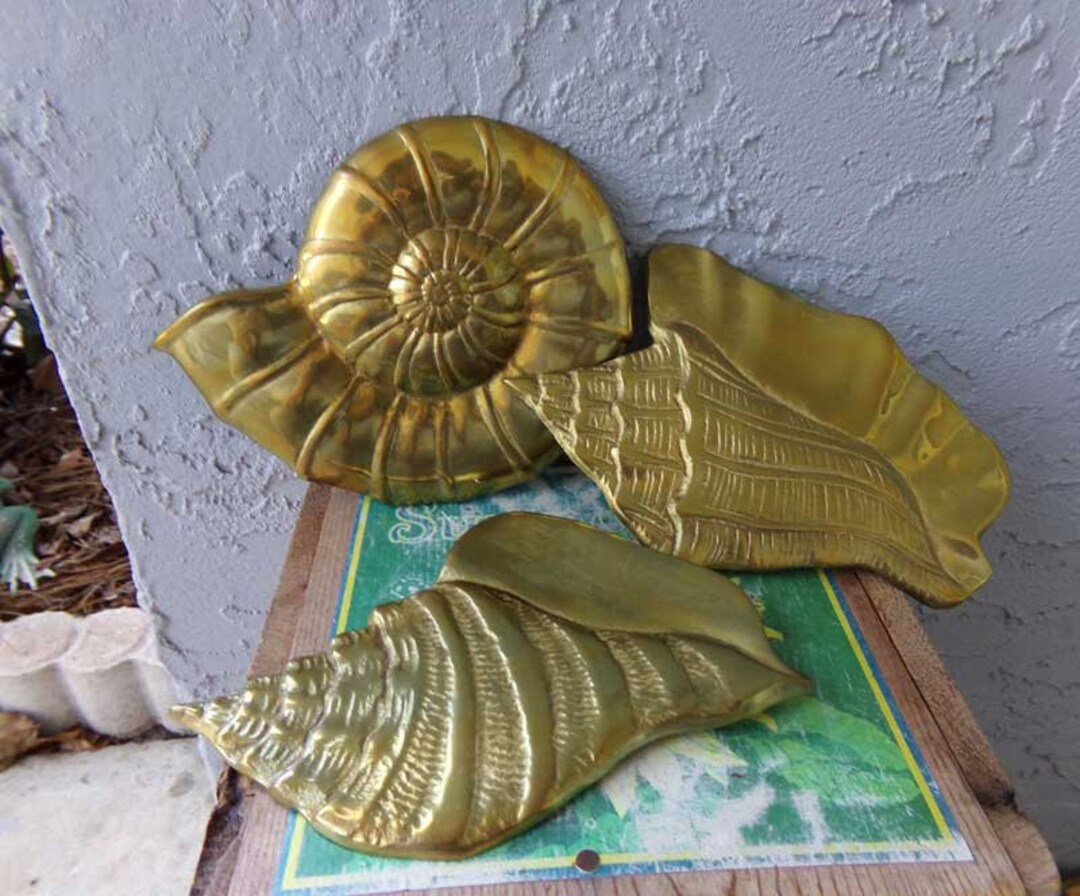 Brass Seashells, Brass Shells, Brass Seashell Wall Hangings, Brass Home ...