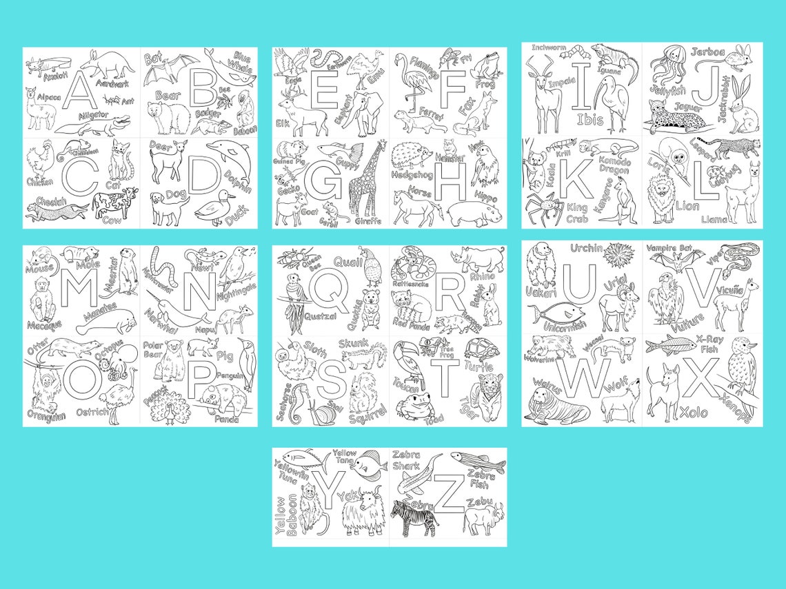 Animal Abcs Coloring Flash Cards, Printable Animal Flash Cards, ABC ...