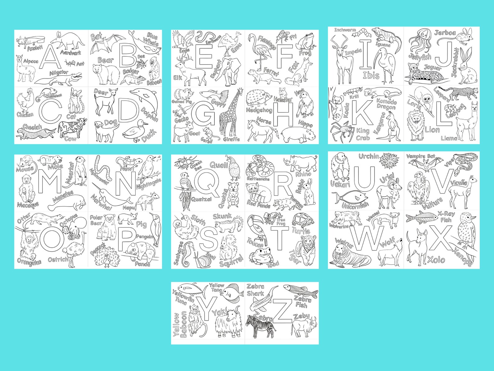 Animal Abcs Coloring Flash Cards, Printable Animal Flash Cards, ABC ...