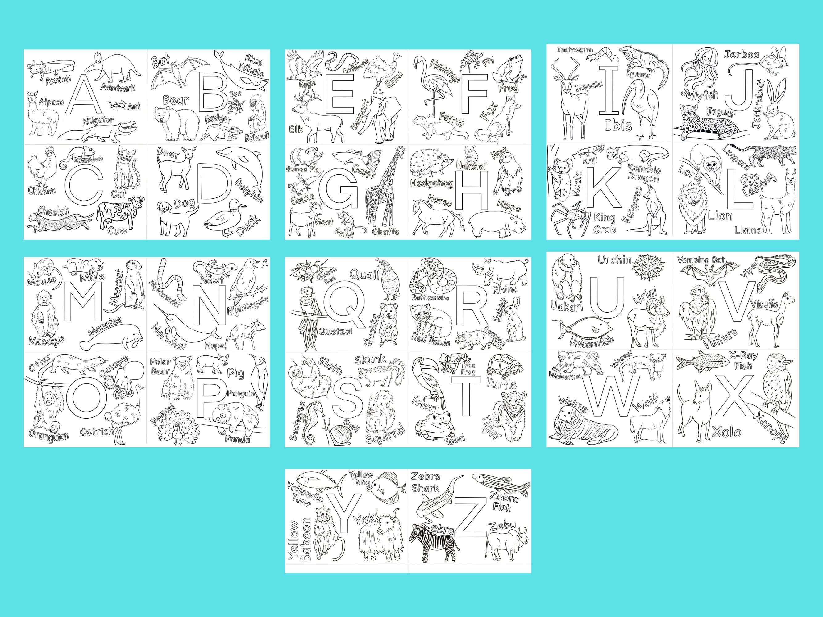 Animal Abcs Coloring Flash Cards, Printable Animal Flash Cards, ABC ...