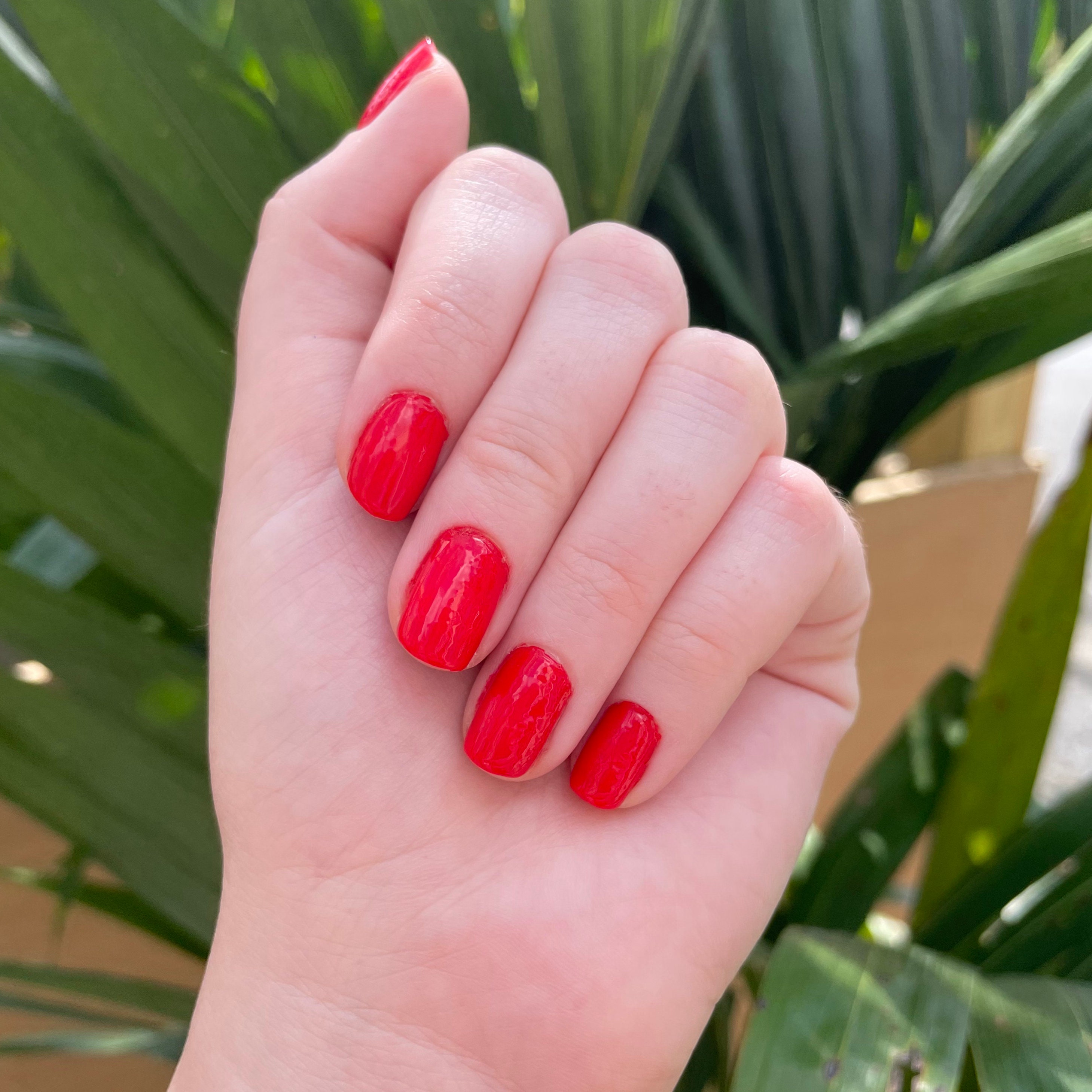 THE HEIGHTS Scarlet Red Nail Polish Broadway Nail Polish Vegan Nail ...