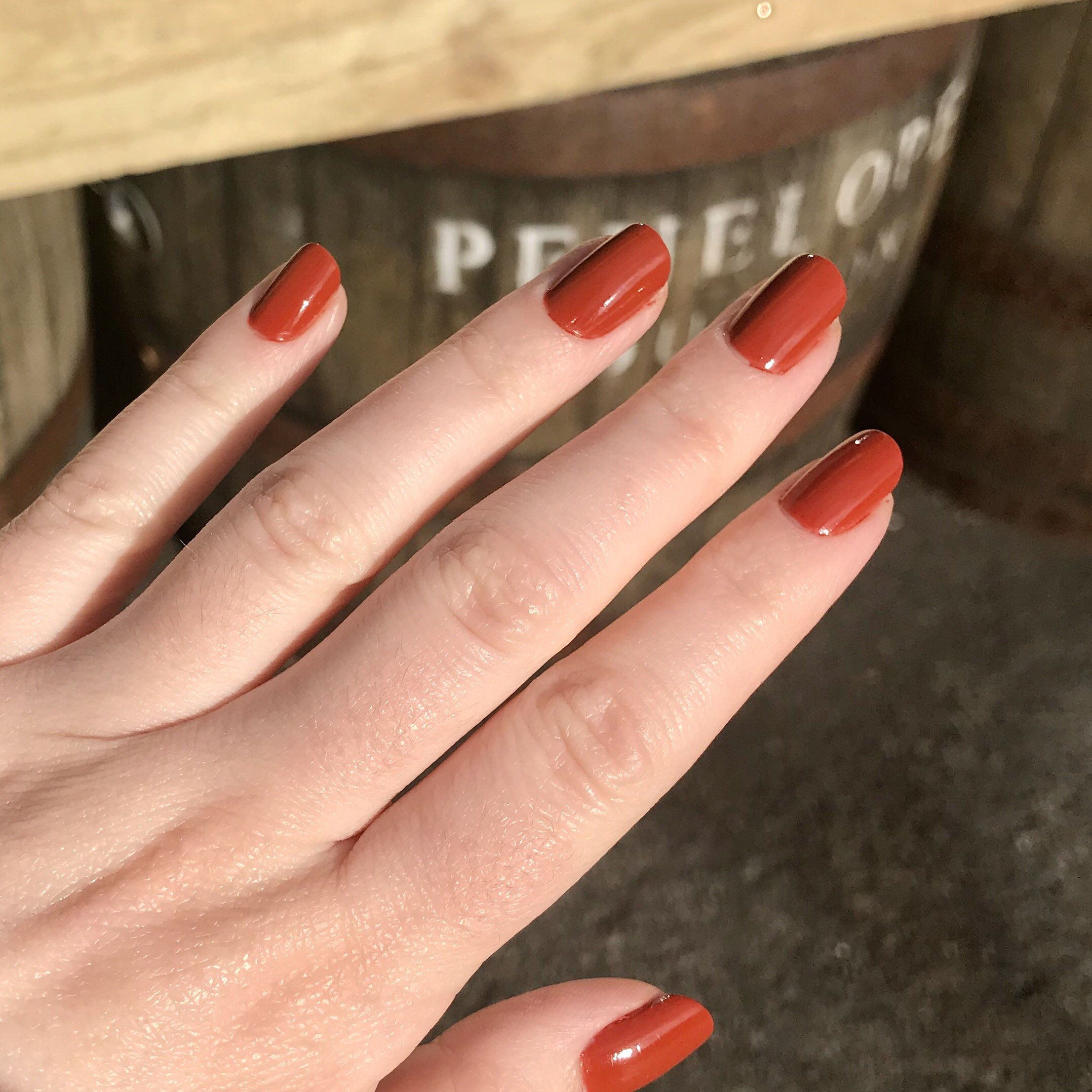 NANCY Deep Rust Red Nail Polish Broadway Nail Polish Vegan Nail Polish ...