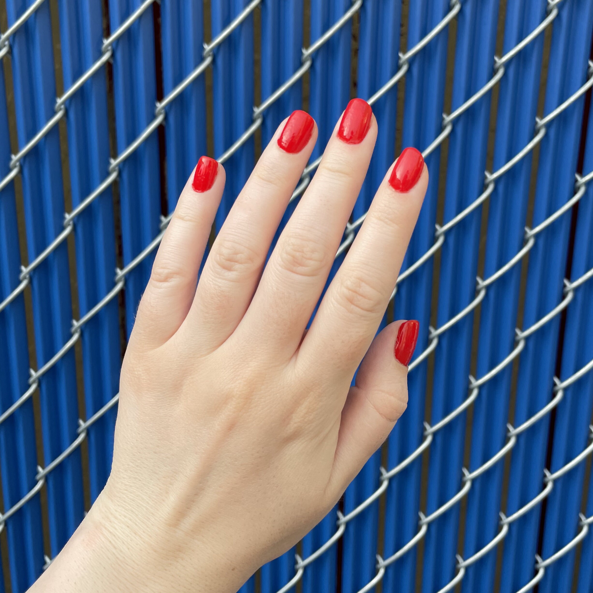 THE HEIGHTS Scarlet Red Nail Polish Broadway Nail Polish Vegan Nail ...