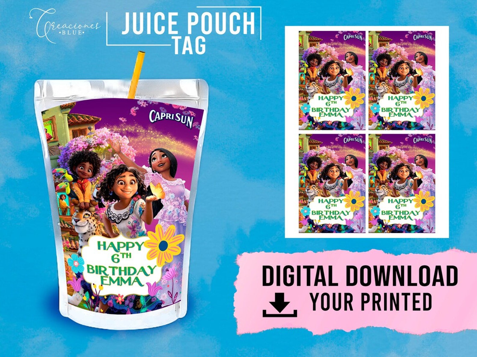 Encanto Birthday Party Pack Chip Bags Label Favor Label - Etsy