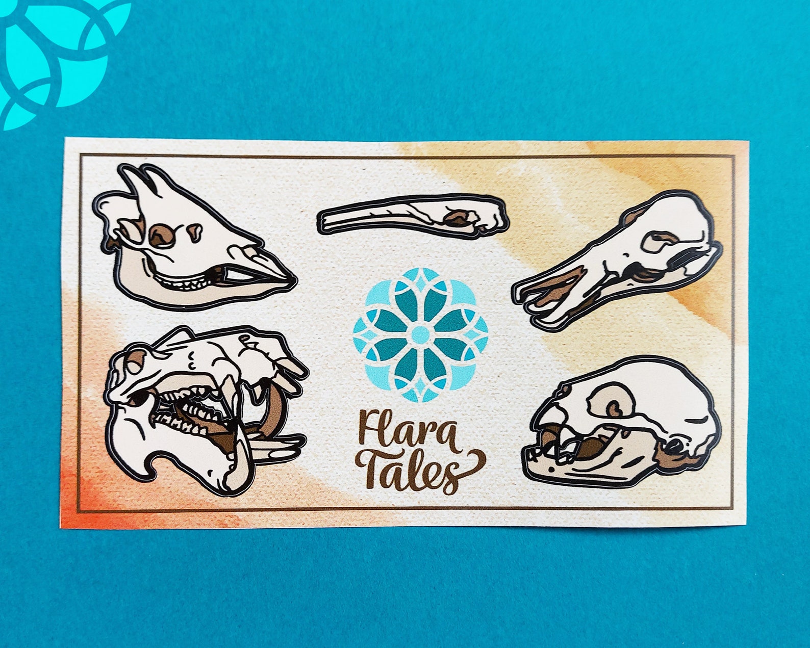 Animal Skulls Stickers Set Laptop Stickers Pack Taxidermy - Etsy