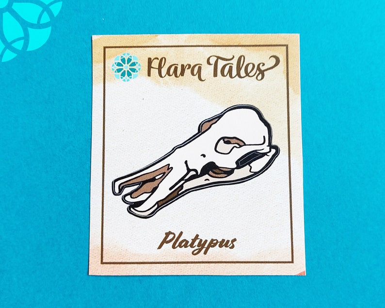 Animal Skulls Stickers Set Laptop Stickers Pack Taxidermy - Etsy