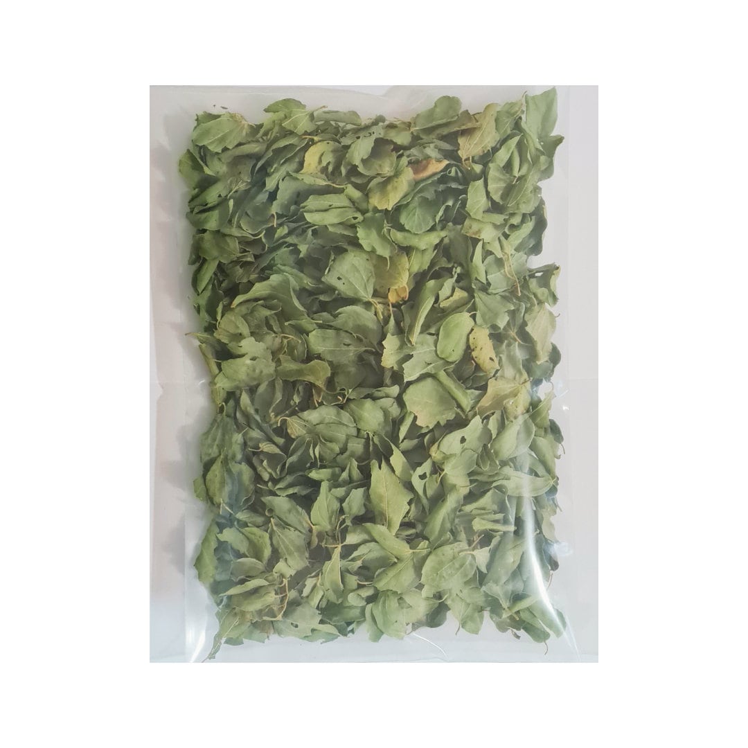 Dried Sidr Leaves Qasil Leaves Lote Tree Leaves Whole Leaves Lote Tree ...