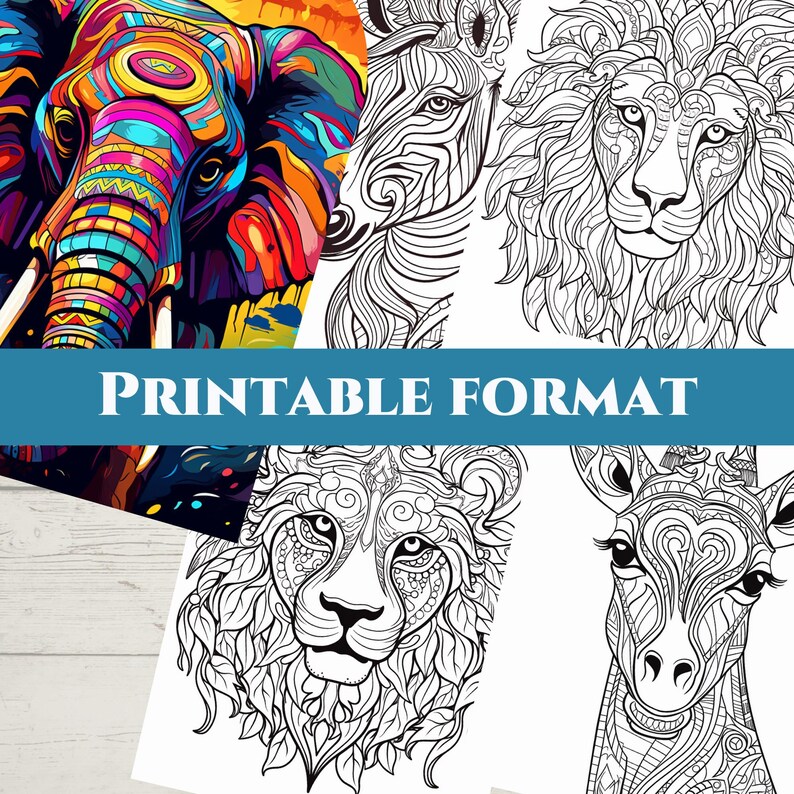 African Animals Coloring Book - Adult Safari Coloring, Stress Relief ...