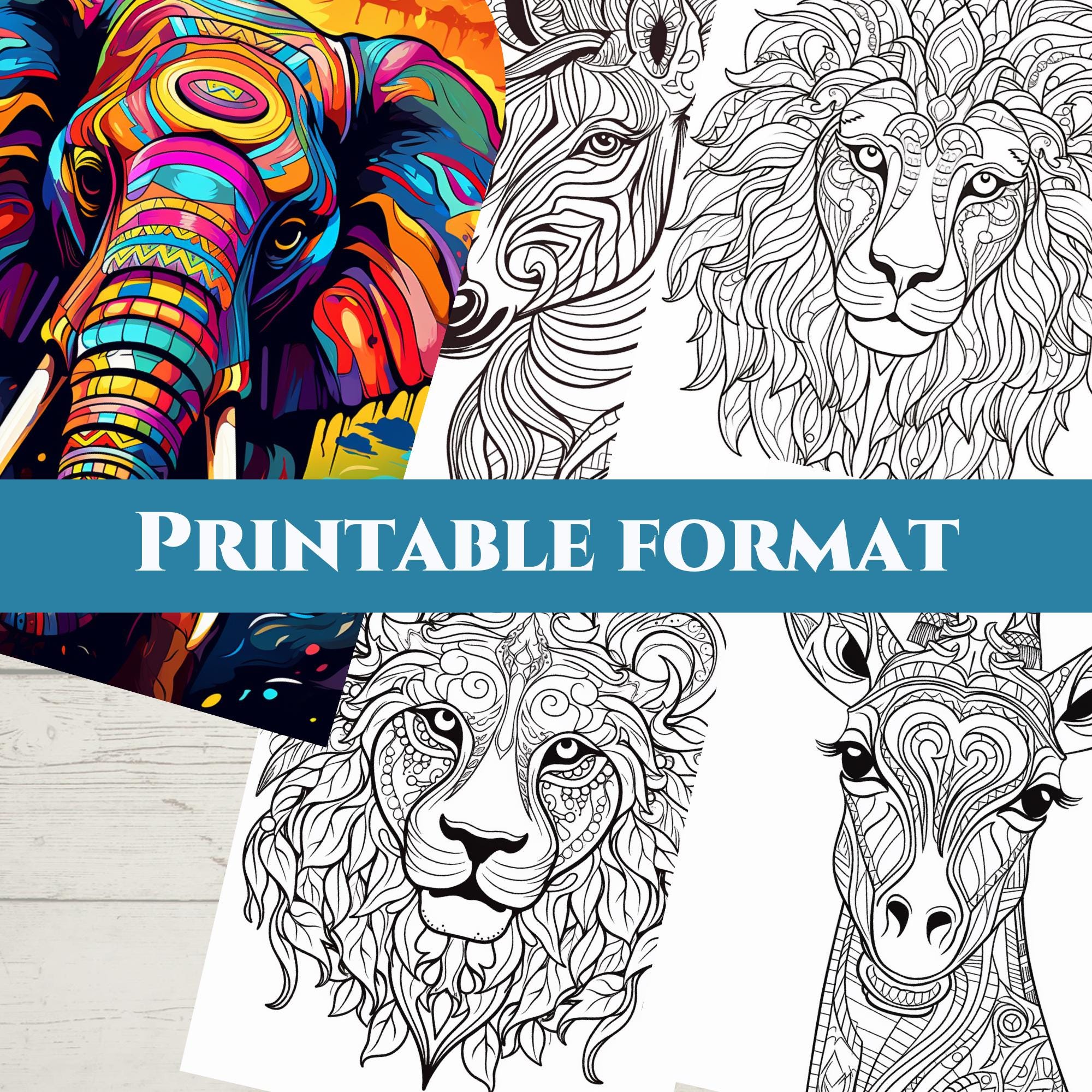 African Animals Coloring Book - Adult Safari Coloring, Stress Relief ...