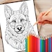 50 Dogs Coloring Pages, Stress-relieving Coloring Pages, Anti-stress ...