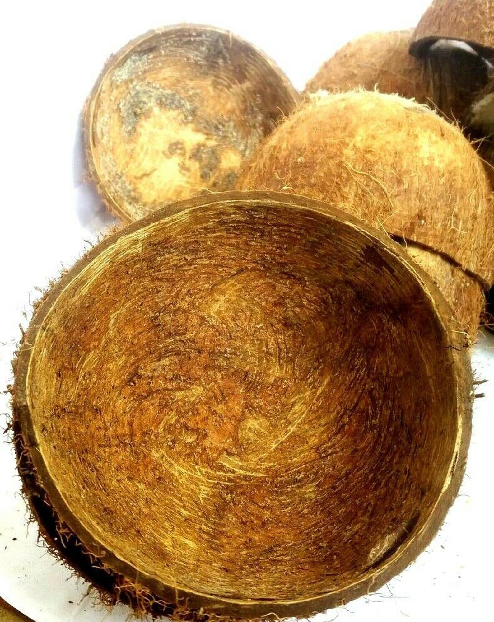 Natural Ceylon Eco-friendly Coconut Shell Halves With Fiber - Etsy