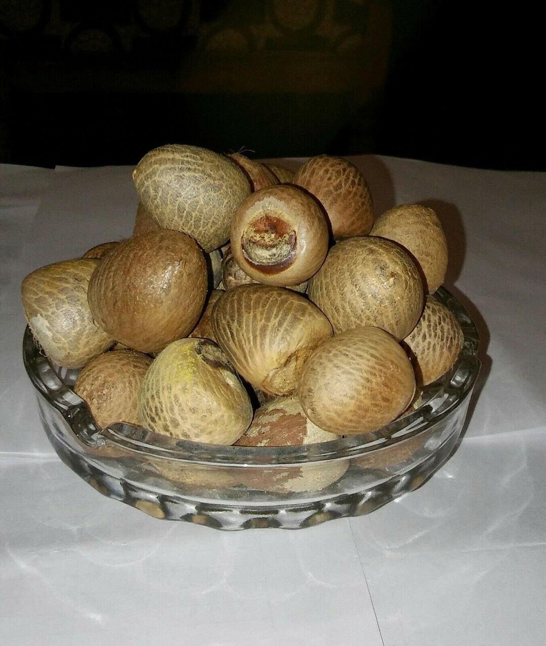 Whole Supari Grade A Quality Ceylon Betel Nuts Areca Catechu Nuts 100% ...