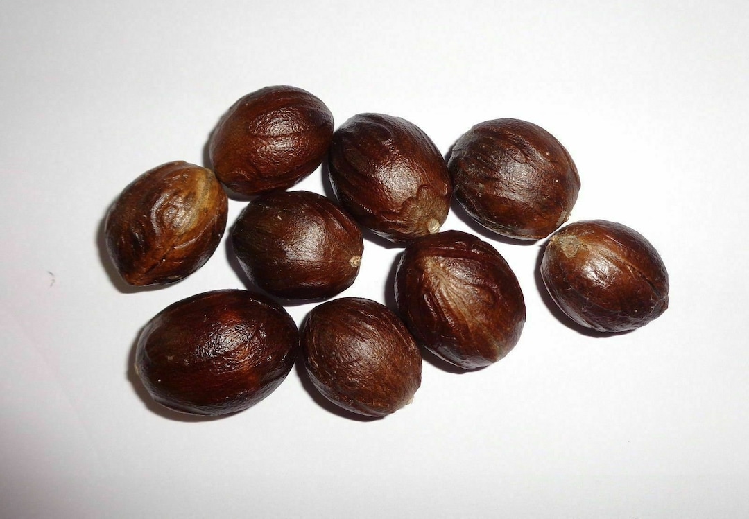 Whole Nutmeg With Shell | Ceylon Nutmeg | Myristica Fragrans | Sun ...
