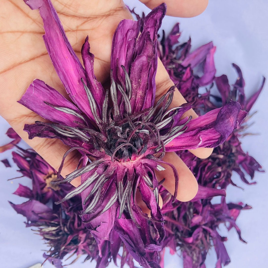 100% Organic Red Water Lily Flowers~whole Flowers & Crushed Flowers ...