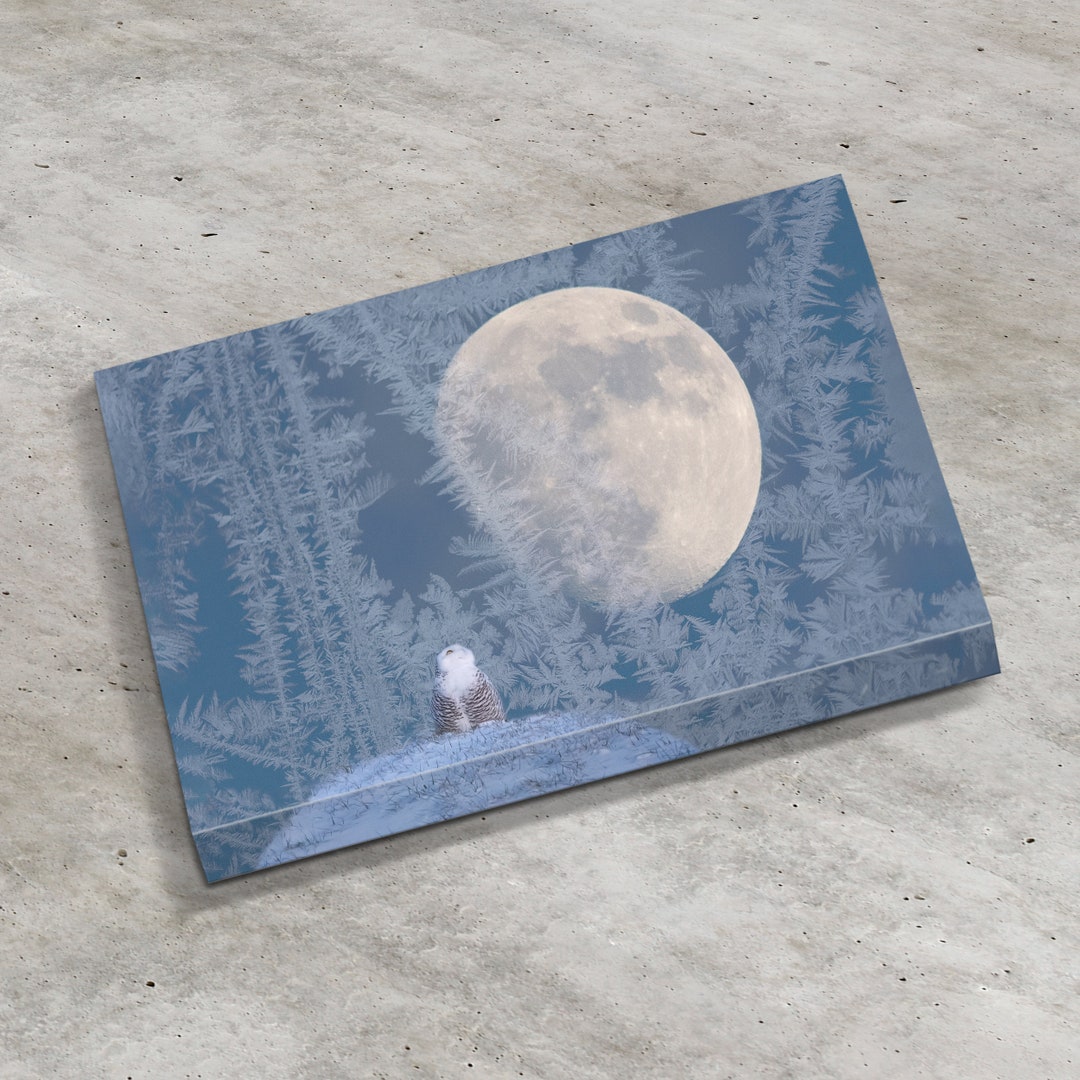Snowy Owl Moon Canvas Print - Etsy