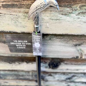 Exquisite Foldable Black Wooden Walking Stick With Silver Raven Handle ...
