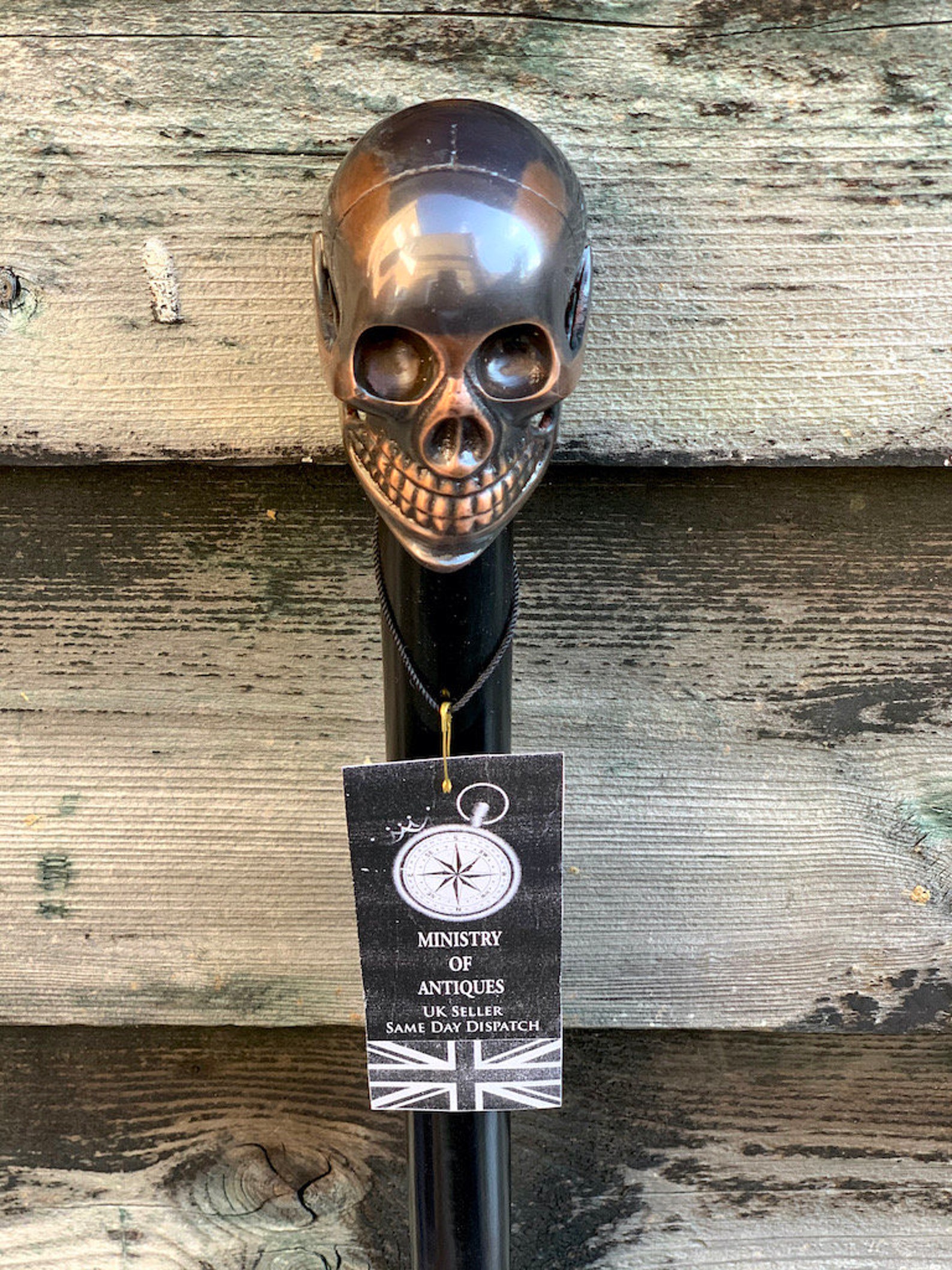 Skull Walking Cane With a Knob Handle Fashionable Walking | Etsy UK