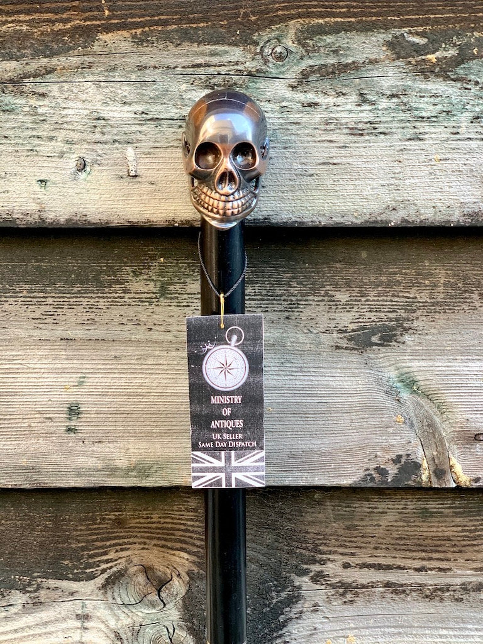 Skull Walking Cane With a Knob Handle Fashionable Walking | Etsy UK