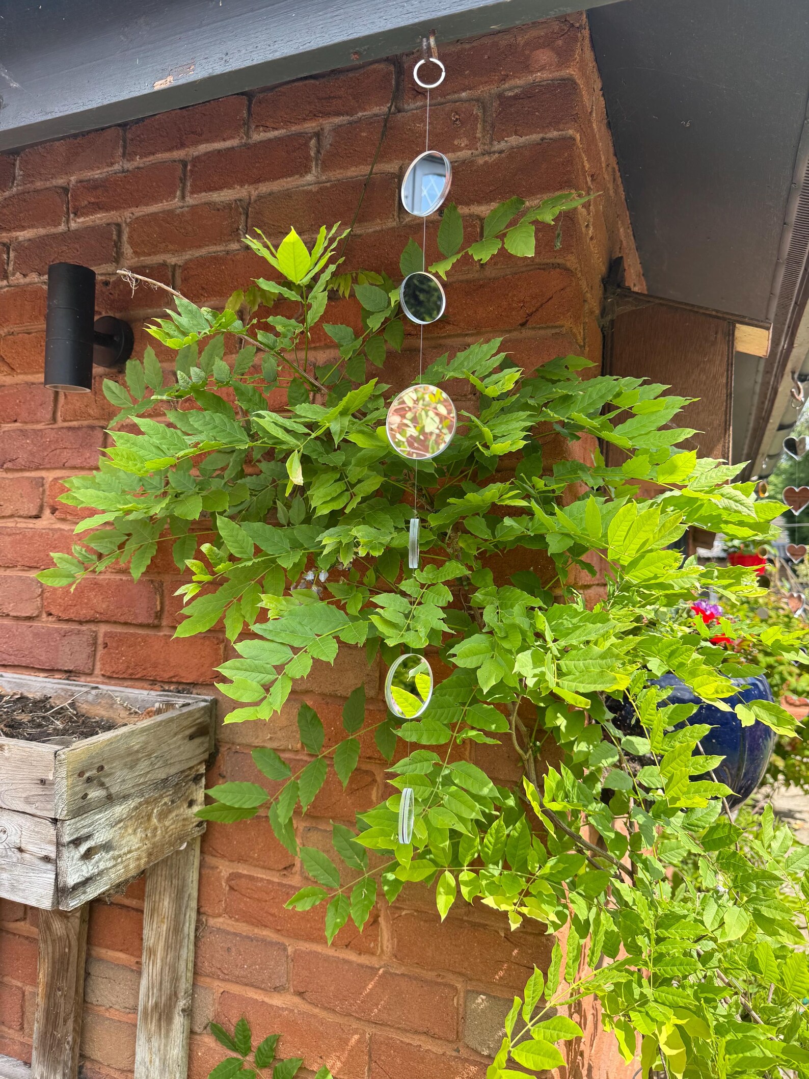 Mirror Disc Sun Catcher, Hanging Garden Mirrors, Garden Art, Tree ...