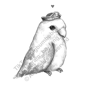 Fat Little Parrot - Sketch Illustration - 8.5 X 11 Black and White ...