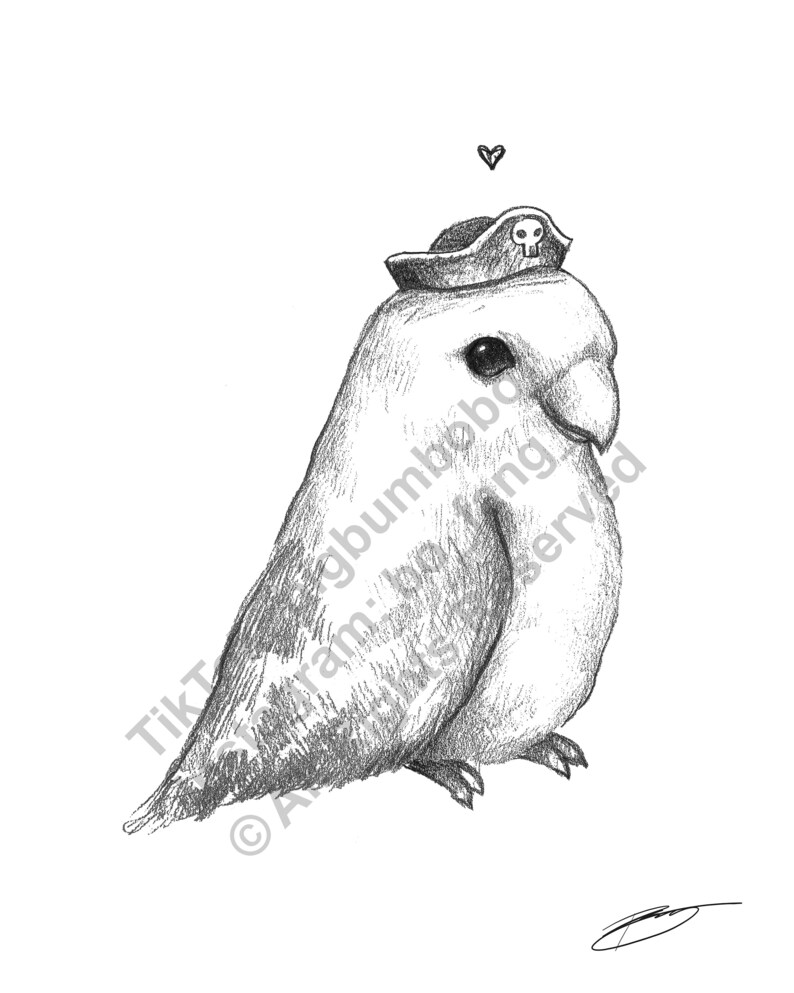 Fat Little Parrot - Sketch Illustration - 8.5 X 11 Black and White ...