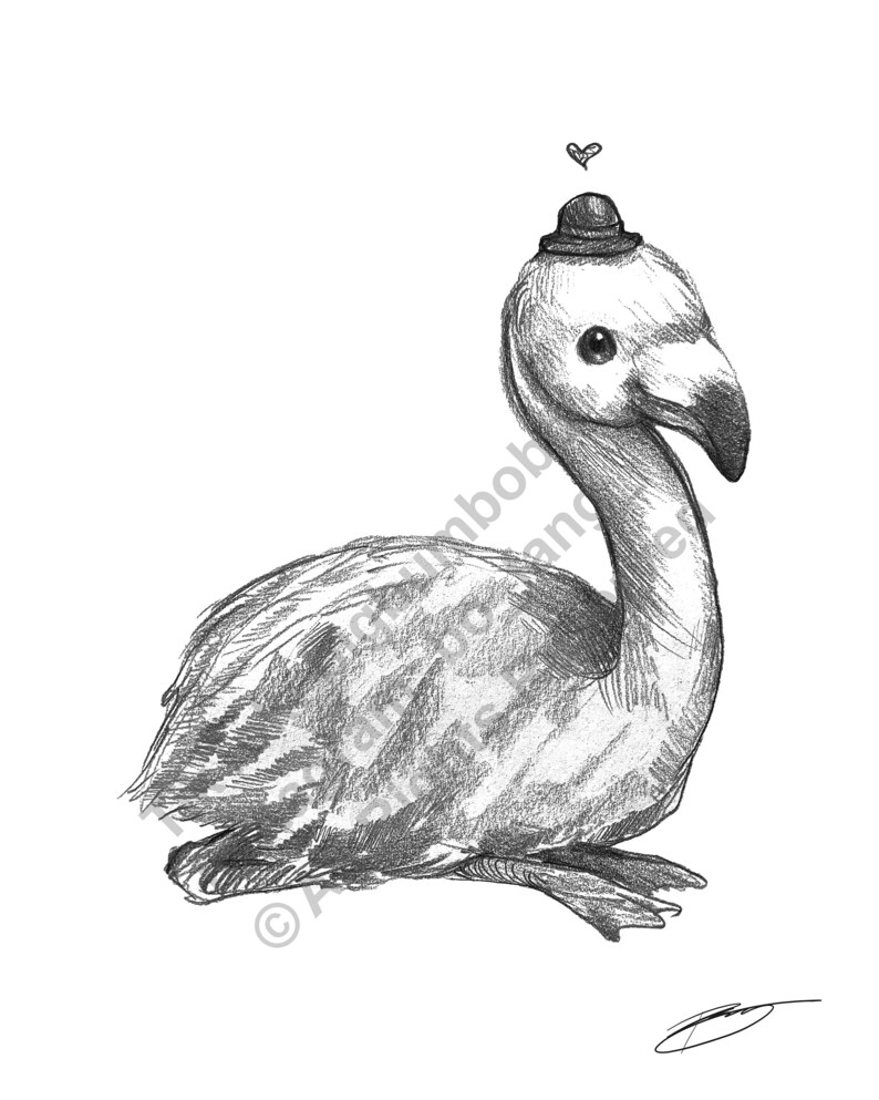 Fat Little Flamingo Sketch Illustration 8.5 X 11 Black and - Etsy