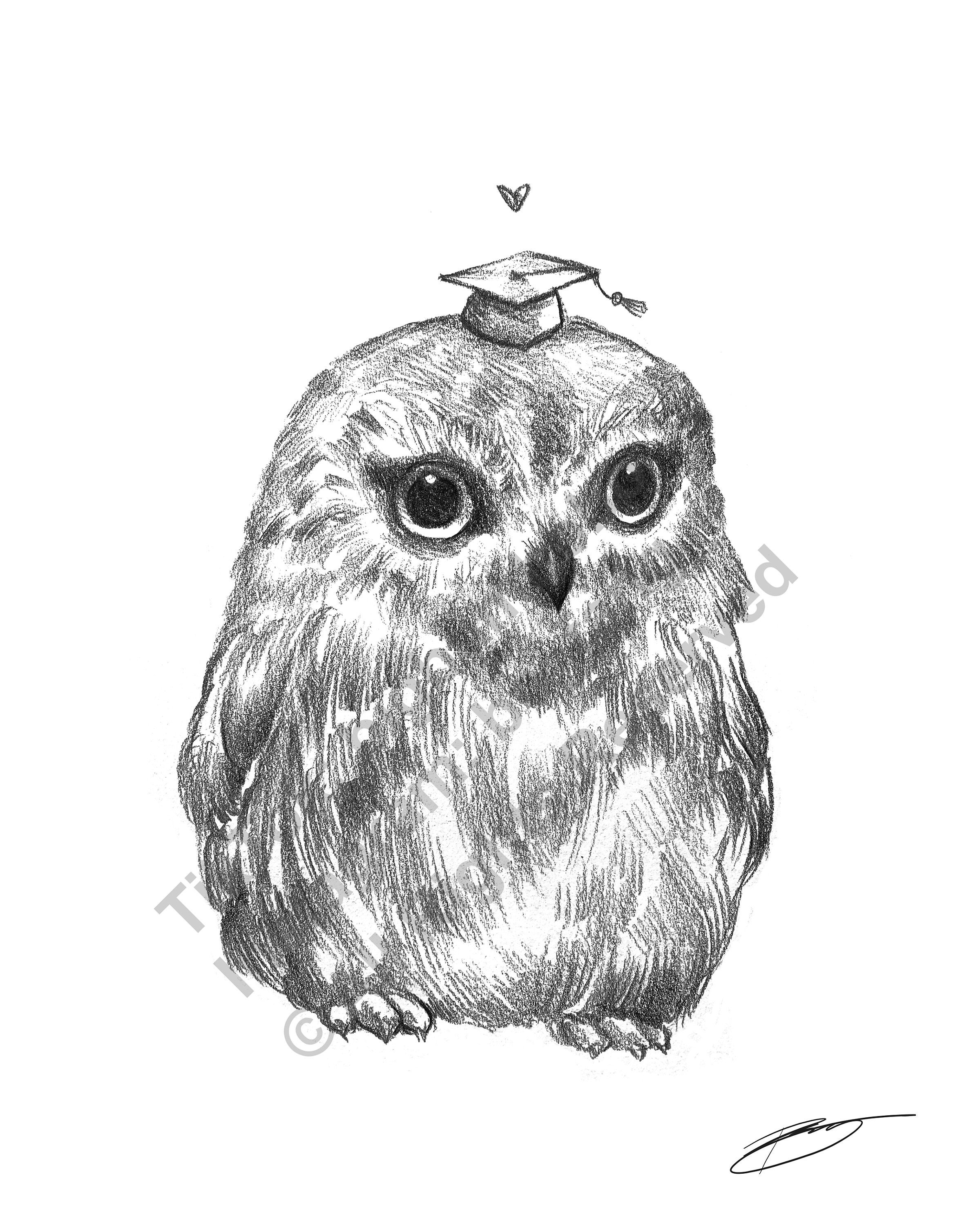 Fat Little Owl Sketch Illustration 8.5 X 11 Black and | Etsy
