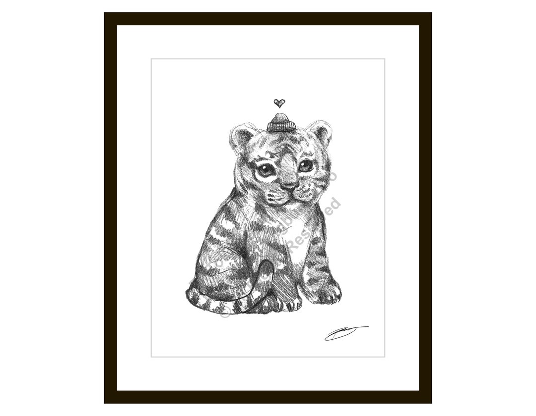 Fat Little Tiger - Sketch Illustration - 8.5 X 11 Black and White ...