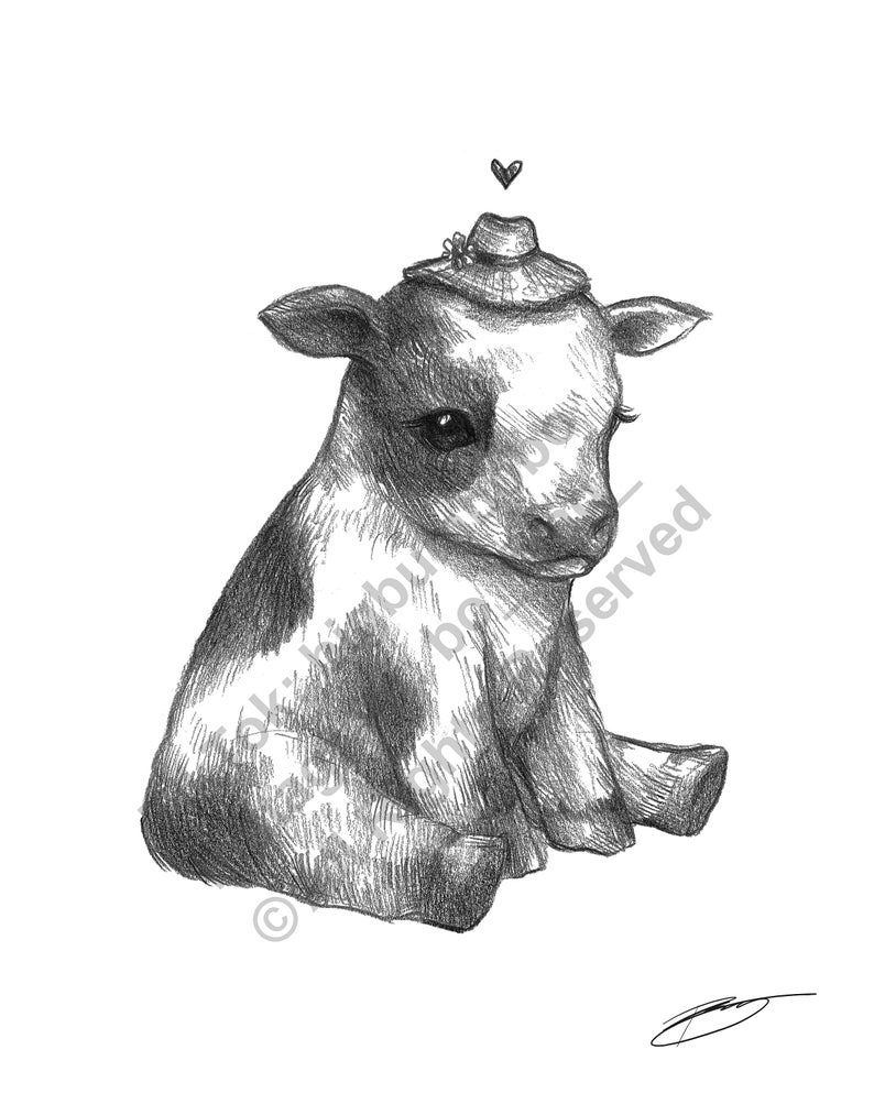 Fat Little Cow Sketch Illustration 8.5 X 11 Black and - Etsy