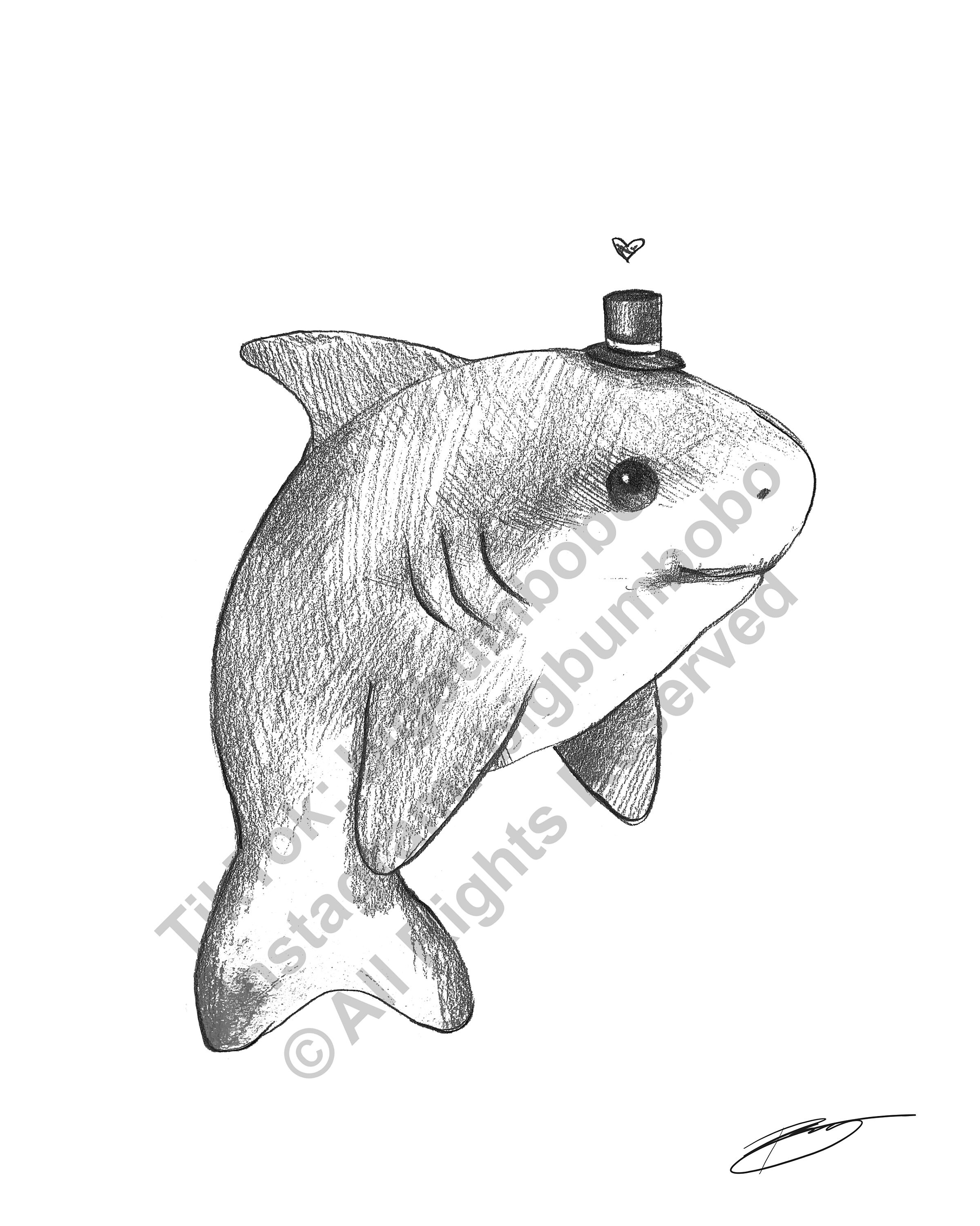 Fat Little Shark Sketch Illustration 8.5 X 11 Black and - Etsy