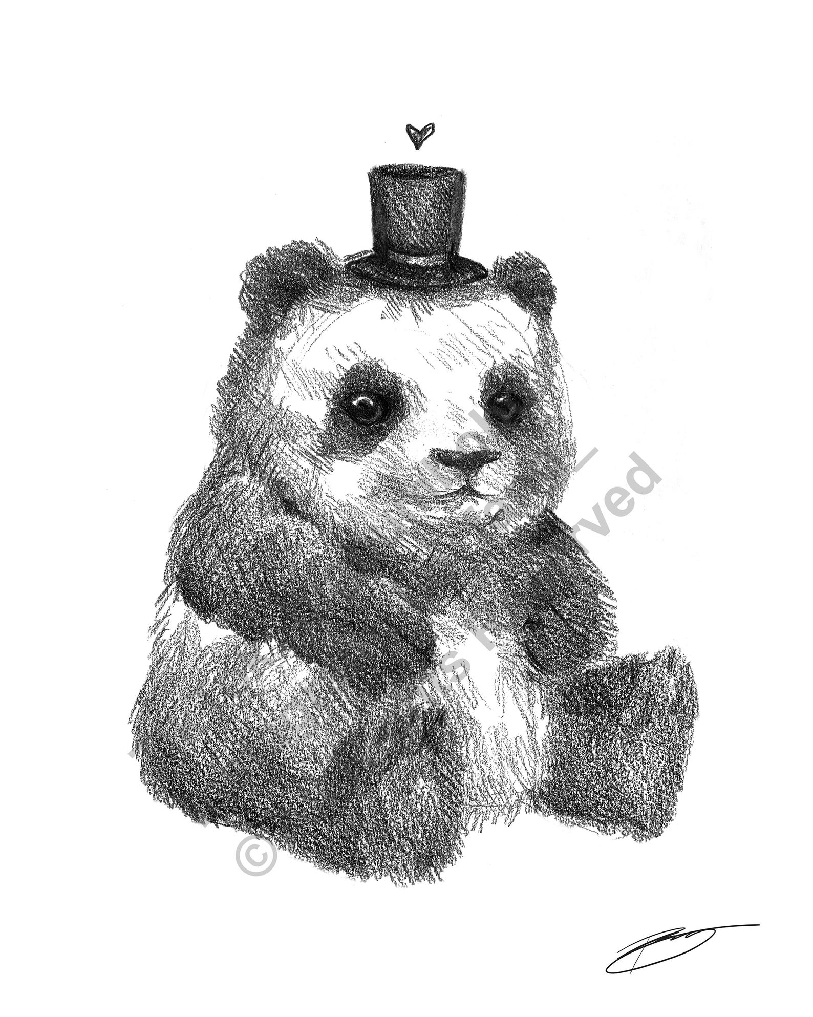 Fat Little Panda Sketch Drawing Illustration 8.5 X 11 - Etsy