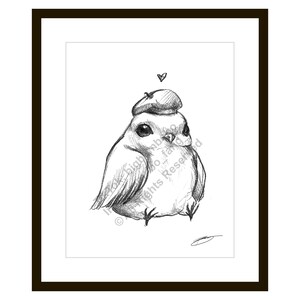 Fat Little Bird - Sketch Drawing Illustration - 8.5 X 11 Animal Art ...