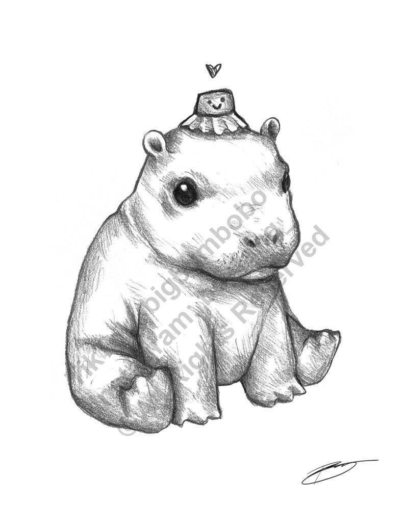 Fat Little Hippo - Sketch Illustration - 8.5 X 11 Black and White ...