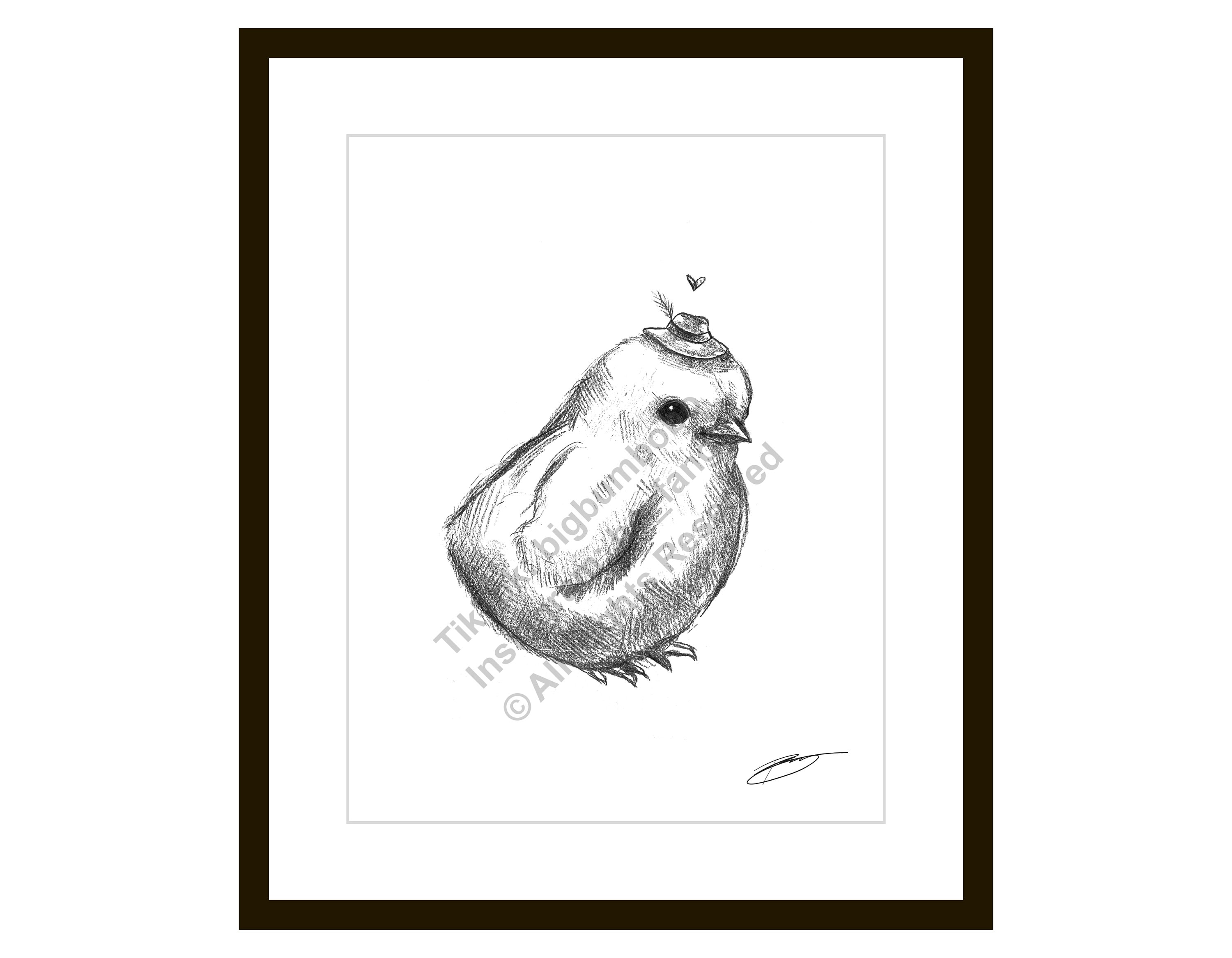 Fat Little Chicken Sketch Illustration 8.5 X 11 Black and | Etsy