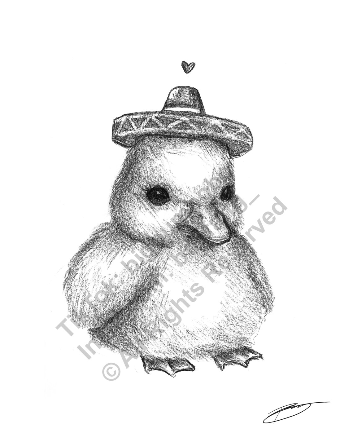Fat Little Duck - Sketch Illustration - 8.5 X 11 Black and White Art ...