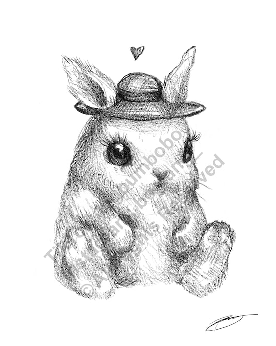 Fat Bunny Drawing