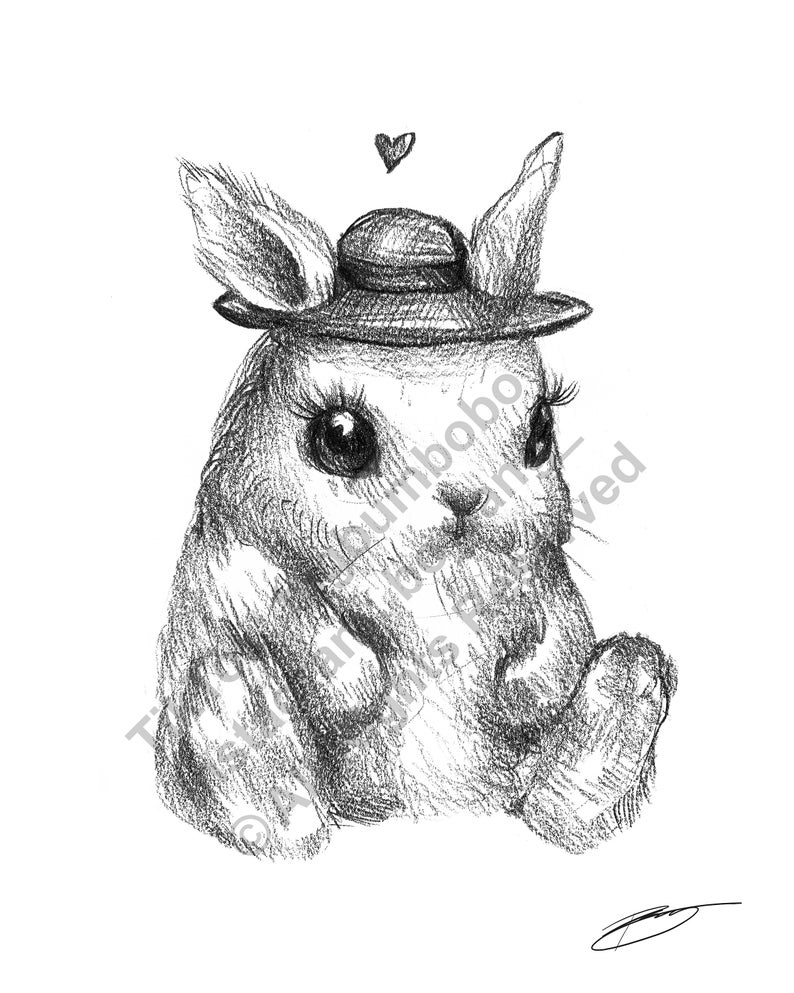 Fat Little Bunny - Sketch Drawing Illustration - 8.5 X 11 Animal Art ...