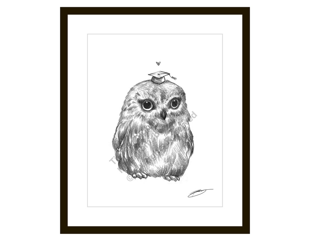 Fat Little Owl - Sketch Illustration - 8.5 X 11 Black and White Animal ...